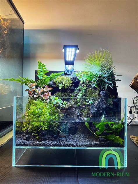 Paludarium Waterfall Tank Black Cliff Modernrium