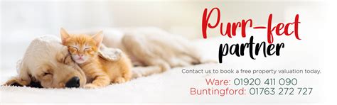 Jonathan Hunt Estate Agents