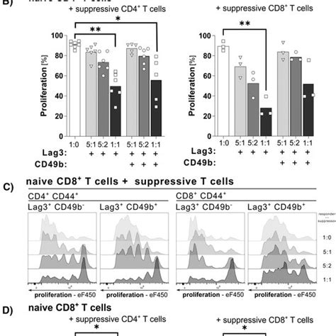 Malaria‐induced Regulatory Cd8⁺ T Cells Are Still Cytotoxic Cd8⁺ T