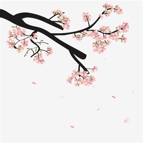 꽃 벚꽃 나무 가지와 수채화 사쿠라 프레임 배경 사쿠라 꽃 손으로 그린 Png 일러스트 및 벡터 에 대한 무료 다운로드 Pngtree 벚꽃나무 벚꽃 꽃