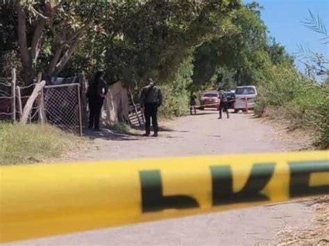 Macabro Hallazgo En Guasave Sinaloa Perros Desenterraron Restos De