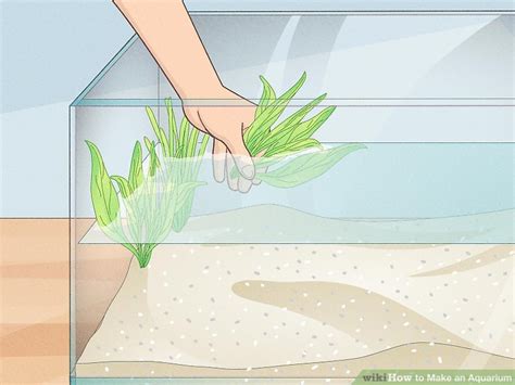 Ways To Make An Aquarium WikiHow