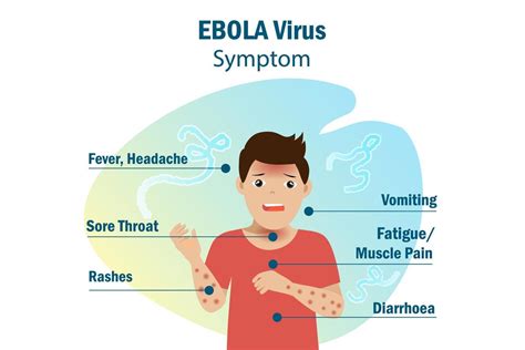 Sintoma Do Vírus Ebola Homem Com Sintoma Infográfico De Ebola Para