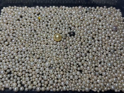 【傷や汚れあり】y21 約1990ct カラット 39811g 本真珠 パール アコヤ真珠 Pearl など ルース 大量 まとめ売り