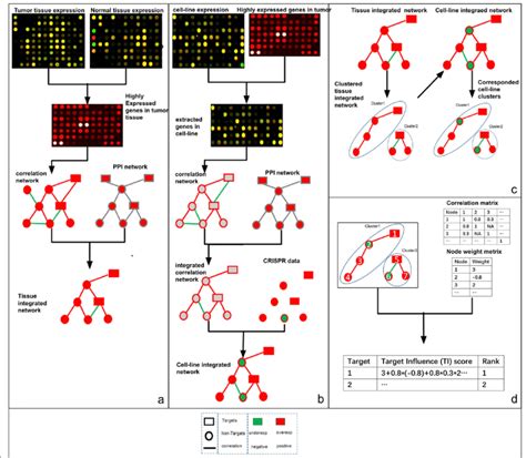 Workflow Of Scnrank A Constructing Integrated Tissue Pdac Network