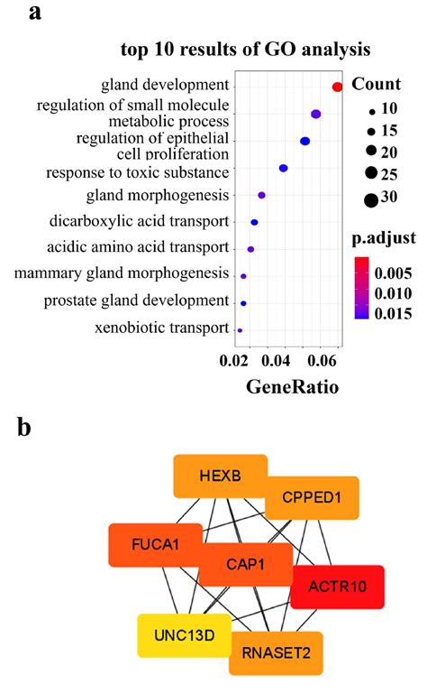 Go And Ppi Analysis A The Top 10 Results Of Go Functional Analysis In