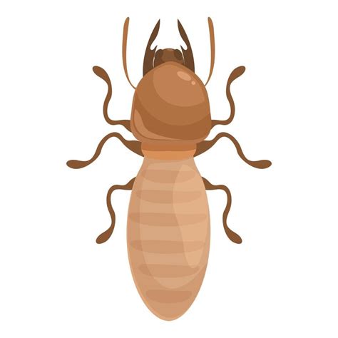 Termite Insect Posing With Big Head And Tiny Waist 47060864 Vector Art