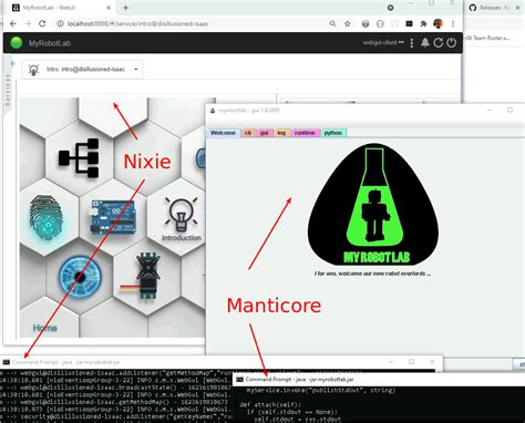 How To Run Java 11 And Java 8 On The Same Machine MyRobotLab