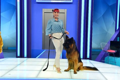 Aline Serrano No Linkedin Sbt Apresentadora