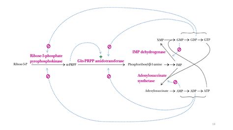 Nucleotide Metabolismbiochemistryblecturepptx