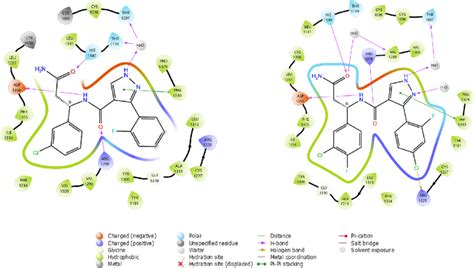2d Interaction Diagrams Of 3d And 26e Ligands In Complex With Dcaf1 Download Scientific Diagram