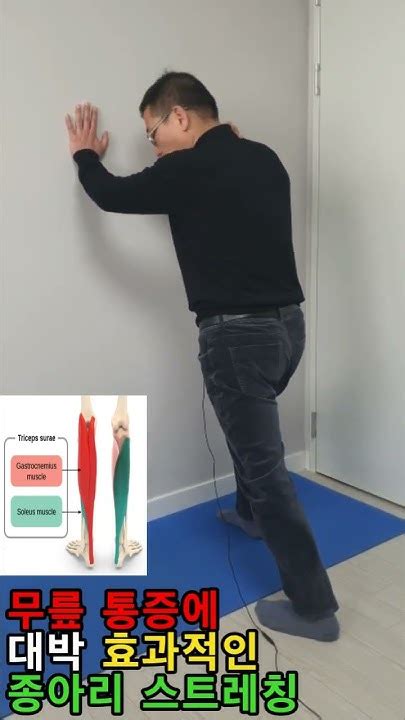 효과대박 미친운동 무릎 통증 가장 빨리 줄이는 스트레칭 2 Shorts Youtube