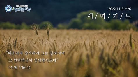 주의 선하심을 맛보아 알지어다 시 341 10 221126 새벽기도 서울삼일교회 김도연 목사 Youtube