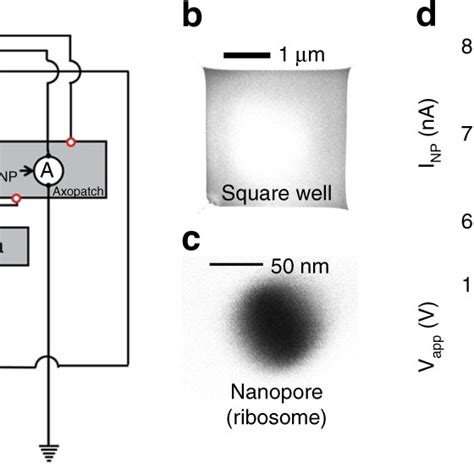 On Demand Single Molecule Analysis Platform A A Nanopore Optofluidic