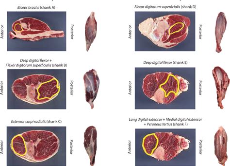 Figure 1 From Sensory Evaluation From Asian Consumers Of Six Different