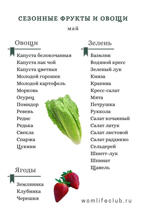 Календарь сезонных овощей и фруктов Овощи Фрукты Веганское питание
