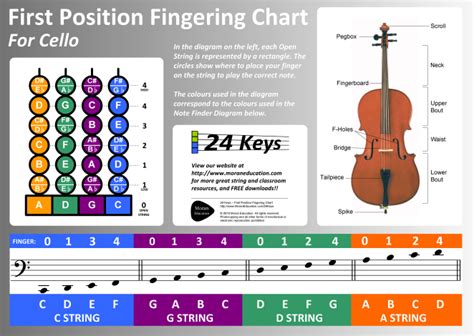 Cello Notes Chart Bing Images Music School Music Class Music