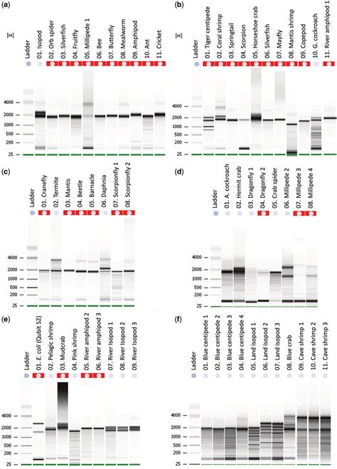 Bioanalyzer Electropherograms Of Total Rna For A Diverse Array Of Download Scientific Diagram