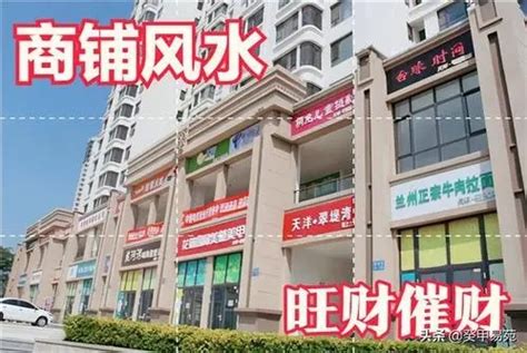 风水 易大师算命网