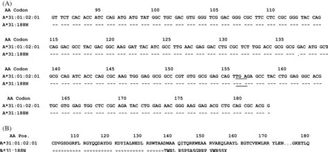 A The Nucleotide Sequence Alignment Of The Exon Sequences And Of Download Scientific