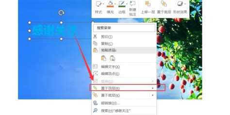 ppt怎么设置文字浮于图片上方