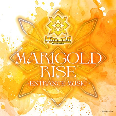 MARIGOLD MARIGOLD RISE入場曲集リリース記念 インターネットサイン会第2弾の開催が決定