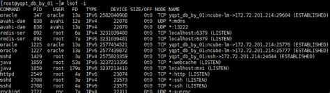 Linux查看服务器内存、磁盘、cpu、网络占用、端口占用情况需要排查服务器网络、cpu使用率、内存使用率、磁盘使用率等 Csdn博客