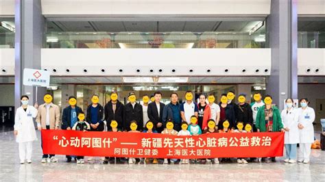 2023年徐泾镇“医大联民杯”门球邀请赛圆满举办上海医大医院
