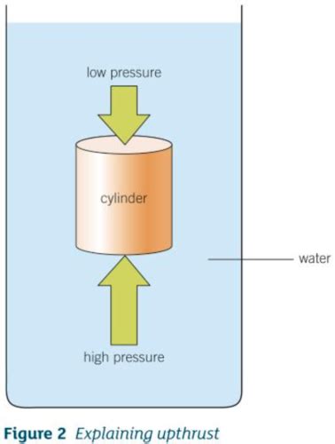 11 4 Upthrust And Floatation Flashcards Quizlet