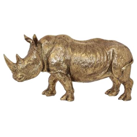 Rhino Gold 18 X 33cm Weskus Ditjies And Datjies