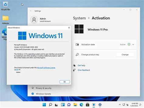 Windows 11 Activator
