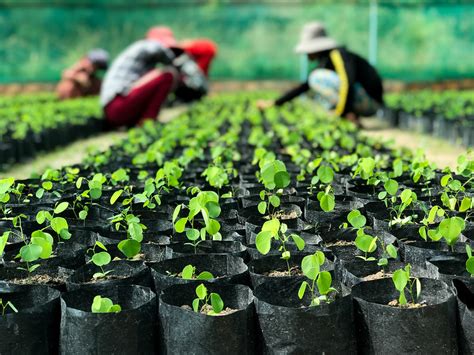 Asia Pacific Adaptation Network Apan Unep Un Environment Programme
