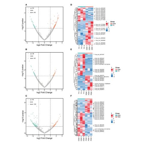 Circrna Expression Patterns Of Cumulus Cells In Patients With Oem N