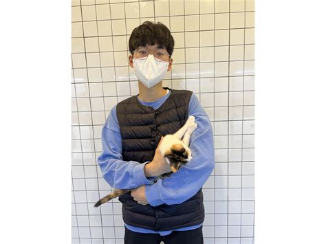 대전 2022 0138 코리안숏헤어 나나 책임분양 애완견성격 반려견성격 소형견크기 중형견크기 미니비숑프리제크기 토이푸들크기 골든리트리버크기 래브라도리트리버크기 닥스훈트