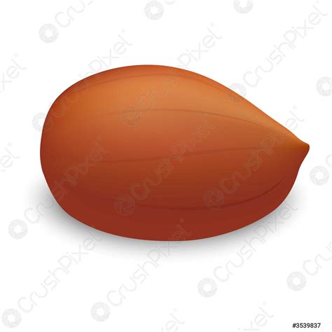 Peanut Icon Realistic Style Stock Vector 3539837 Crushpixel