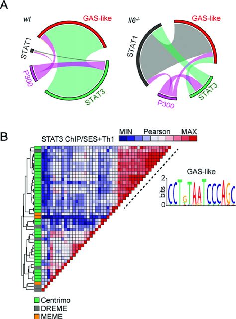 Chip Seq Provides Evidence Of Stat1 Stat3 Cross Regulation A Circos Download Scientific