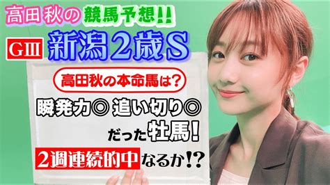 【競馬大予想】新潟新潟2歳sg3 高田秋のほろよい気分 Youtube