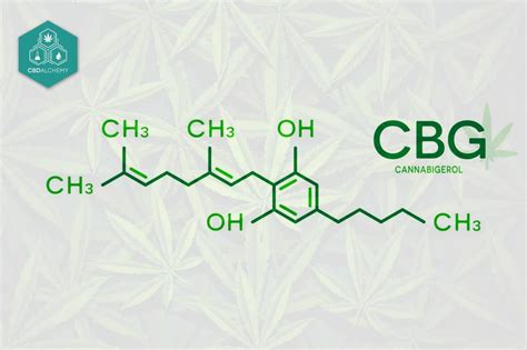 Understanding Cannabigerol Cbg Benefits Uses And Comparisons Cbd