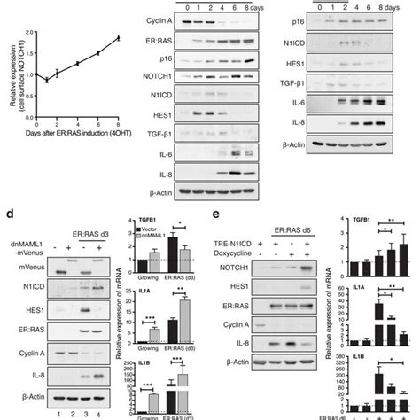 Experiment Plan And Human Cytokine Array Data Collection A Schematic