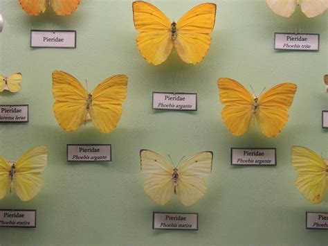 კახა ბენდუქიძის კამპუსის მუზეუმი Tbilisi