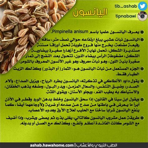 الينسون Natural Medicine Health Healthy Tips