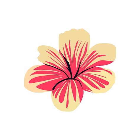 Ilustração Vetorial De Flor De Hibisco Em Estilo Plano Isolado No Fundo