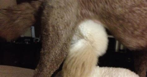 A Case Of Camera Shutter Timing Making Something Innocent Coming Off Very Wrong Imgur