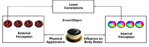 Learning Of Correlations Between System Of Internal And External