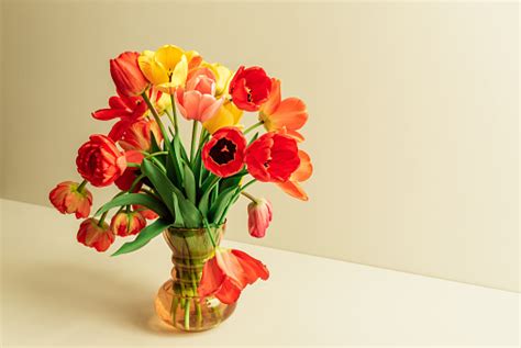 복사 공간이있는 베이지 색 배경에 빈티지 유리 꽃병에 여러 가지 빛깔의 튤립의 큰 꽃 다발 명함 초대 엽서 문자 문자를 인사하기 위한 장소입니다 국제 휴일 기치 0명에 대한