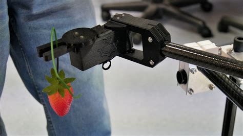 Perth Engineers Design Robot Strawberry Picker That Kills Fungus With Uv Technology Abc News