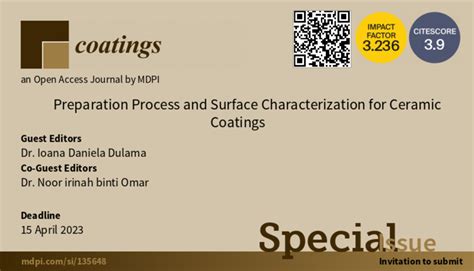 pdf special issue “preparation process and surface characterization