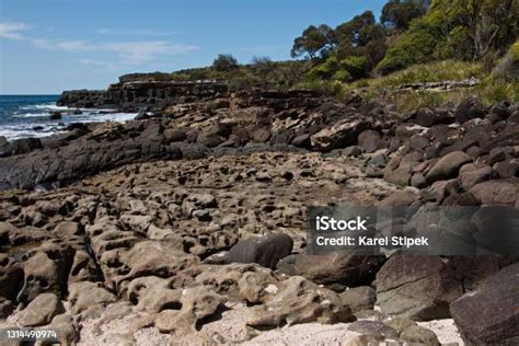 Paisaje En Pebbly Beach En El Parque Nacional Murramarang En Australia