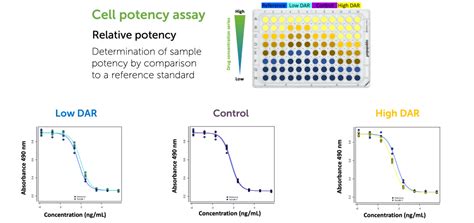 Applying Analytical Method Validation To Cell Based Potency Assays