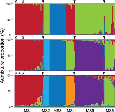 Admixture Proportions Based On Structure Clustering Of Five